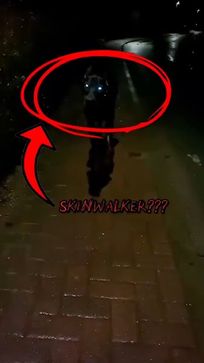 scary dog Caught on Cam #dog #top4 #animal - YouTube