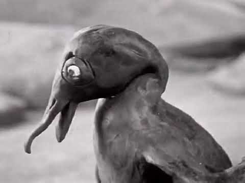 The Penwiper (1926) - YouTube