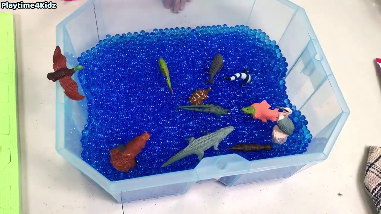 Create & Play with this River Animal Sensory Bin Activity - YouTube