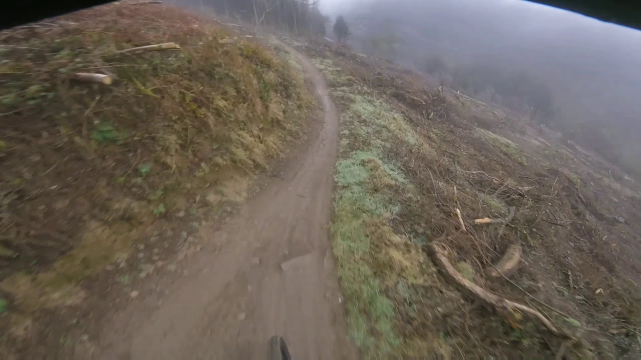 Cafall Trail Cwmcarn MTB. Today on the trail. 23/1/2020. - YouTube