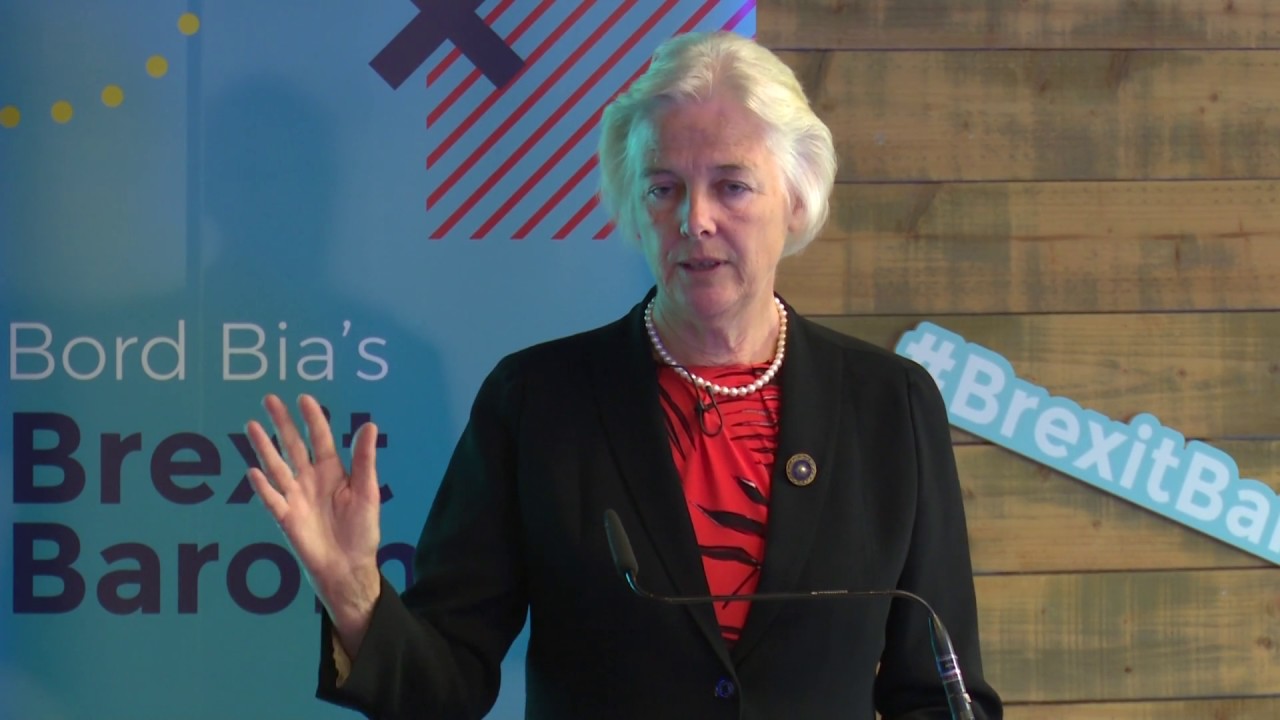 Bord Bia Brexit Barometer Findings and Actions - Catherine Day - YouTube