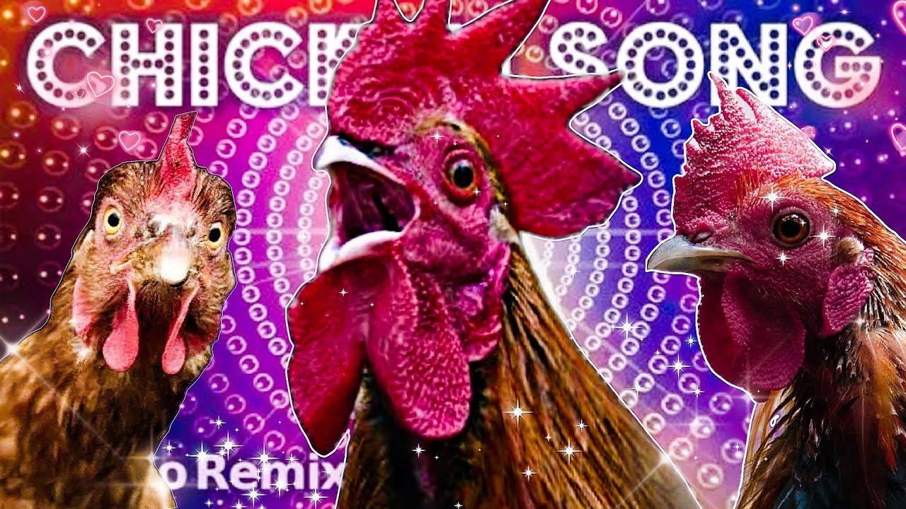 J.Geco - Chicken Song | Top5 NEW ReMix ( 999× ) - YouTube