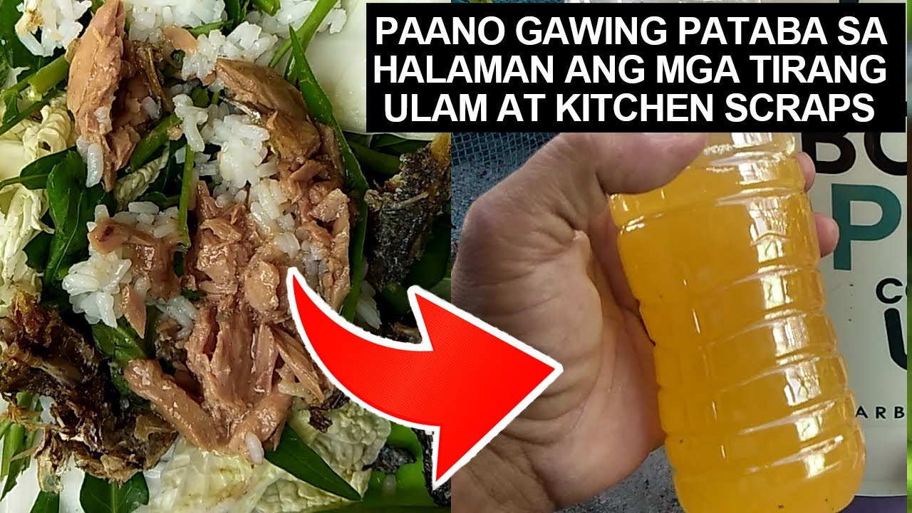 MGA TIRANG ULAM, KANIN AT KITCHEN SCRAPS PUWEDENG GAWING PATABA SA ...