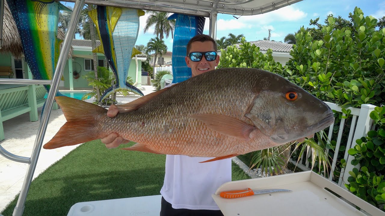 GIANT Mutton Snapper Cleaning - YouTube