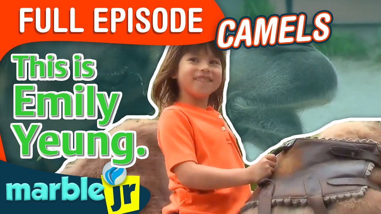 This is Emily Yeung - Season 1 - This is Emily Yeung Learning about ...
