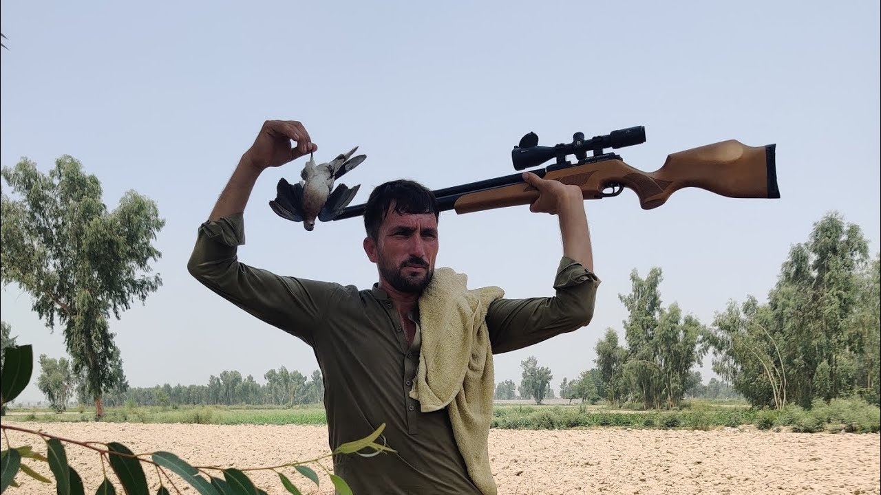 Pigeon hunting with m16 airgun pcp/pakhta ka shikar airgun ke sath ...