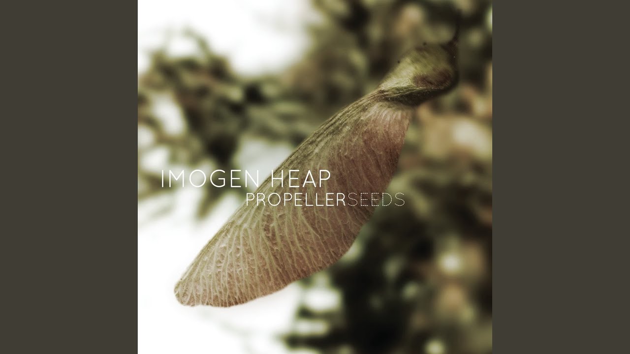 Propeller Seeds - YouTube