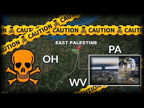 EXCLUSIVE: DISASTER AT HOME - AN INTERVIEW WITH PALESTINE OHIO RESIDENT ...