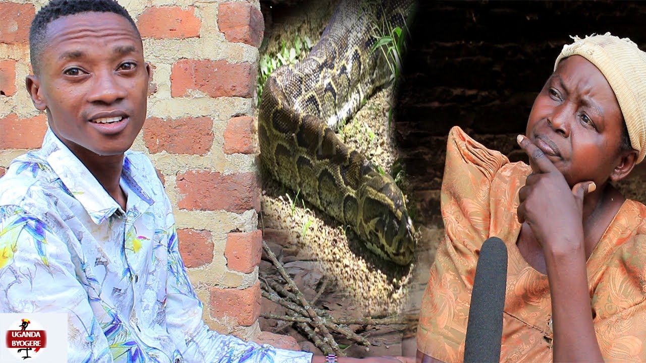 EBYEWUNYISA!! NALONGO AYAZADDE OMUSOTA (TIMBA) BIMUSOBEDDE-ASATIZA ...