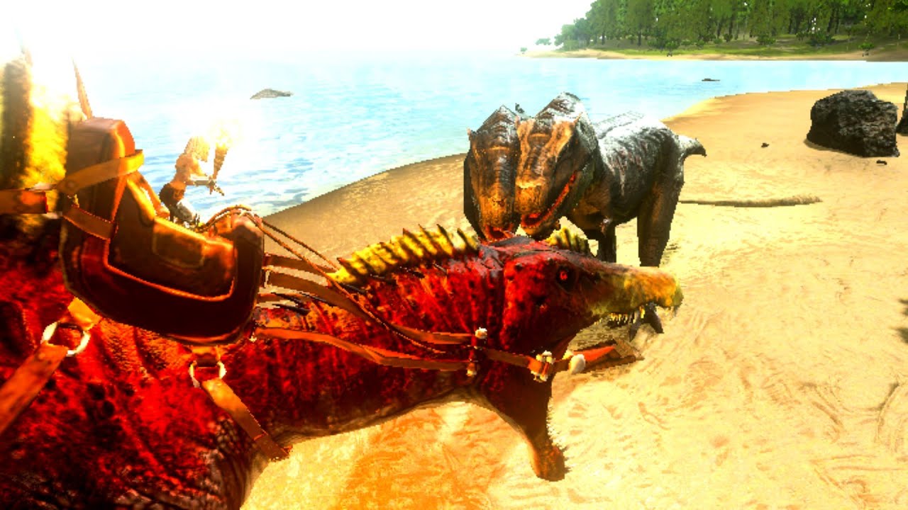 My little Ark: two beautiful ladies and a little adventure - YouTube