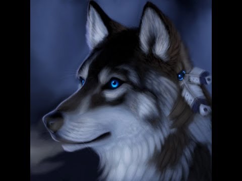 Livestream von UBS_Wolf - YouTube