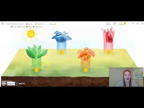 Grade 5: Ecosystem Restoration, Chapter 2, Lesson 2.3-2.4 (Part 2 of 3 ...