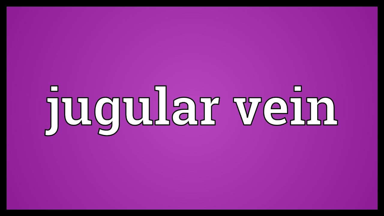 Jugular vein Meaning - YouTube