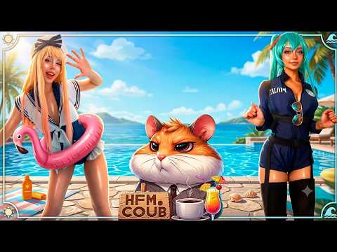 HFM COUB BEST CUBE Coub Приколы 2026 entertainment show, video collection from all over the world