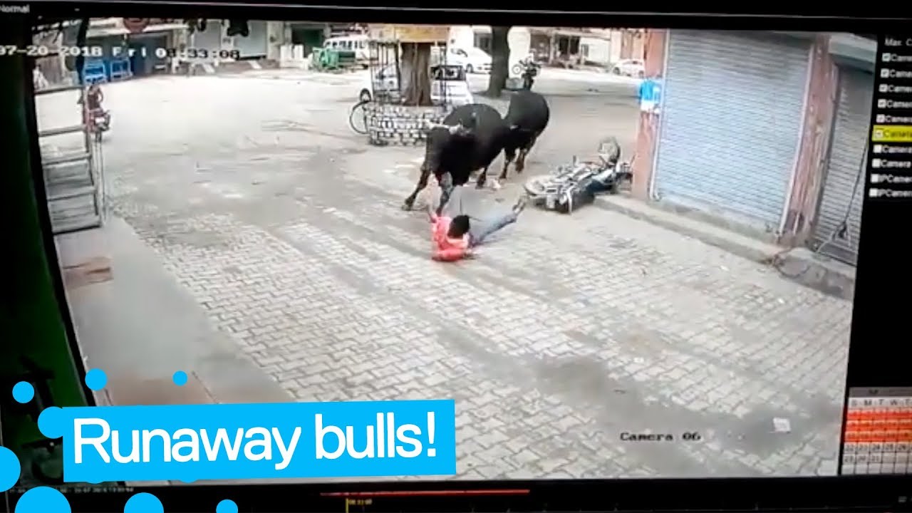 Man Survives after being Hit by Runaway Bull - YouTube