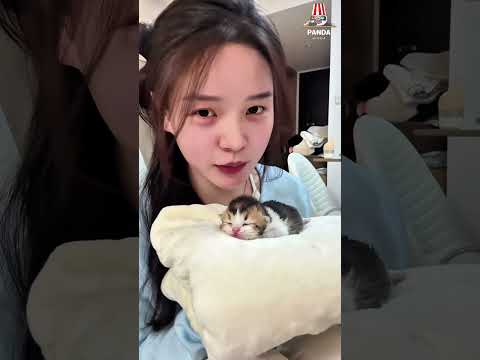 My kitten loves to sleep, and I love kissing it very much.😜😁#cat #kitten #pets