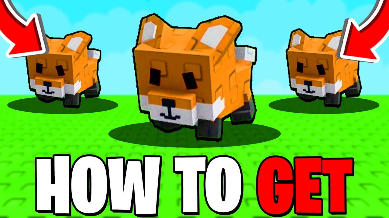 How To GET RED FOX & SHOWCASE In Grow A Garden! Roblox - YouTube