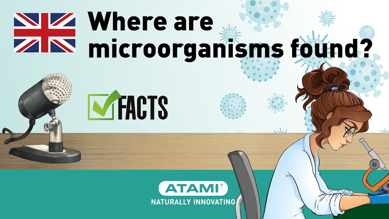 Where are microorganisms found? | (EN) - YouTube