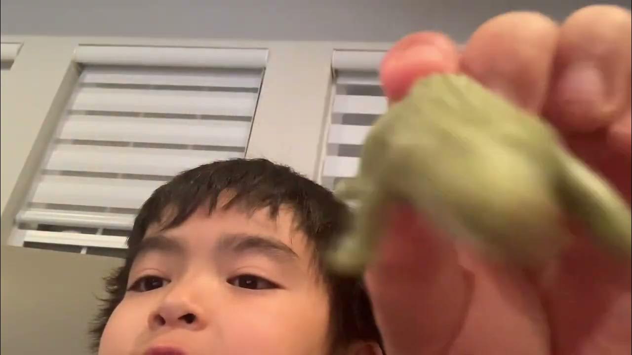 Unboxing a Alligator - YouTube