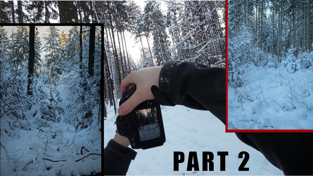 Snowy POV Nature Photography in the Forest (Relaxing) - YouTube