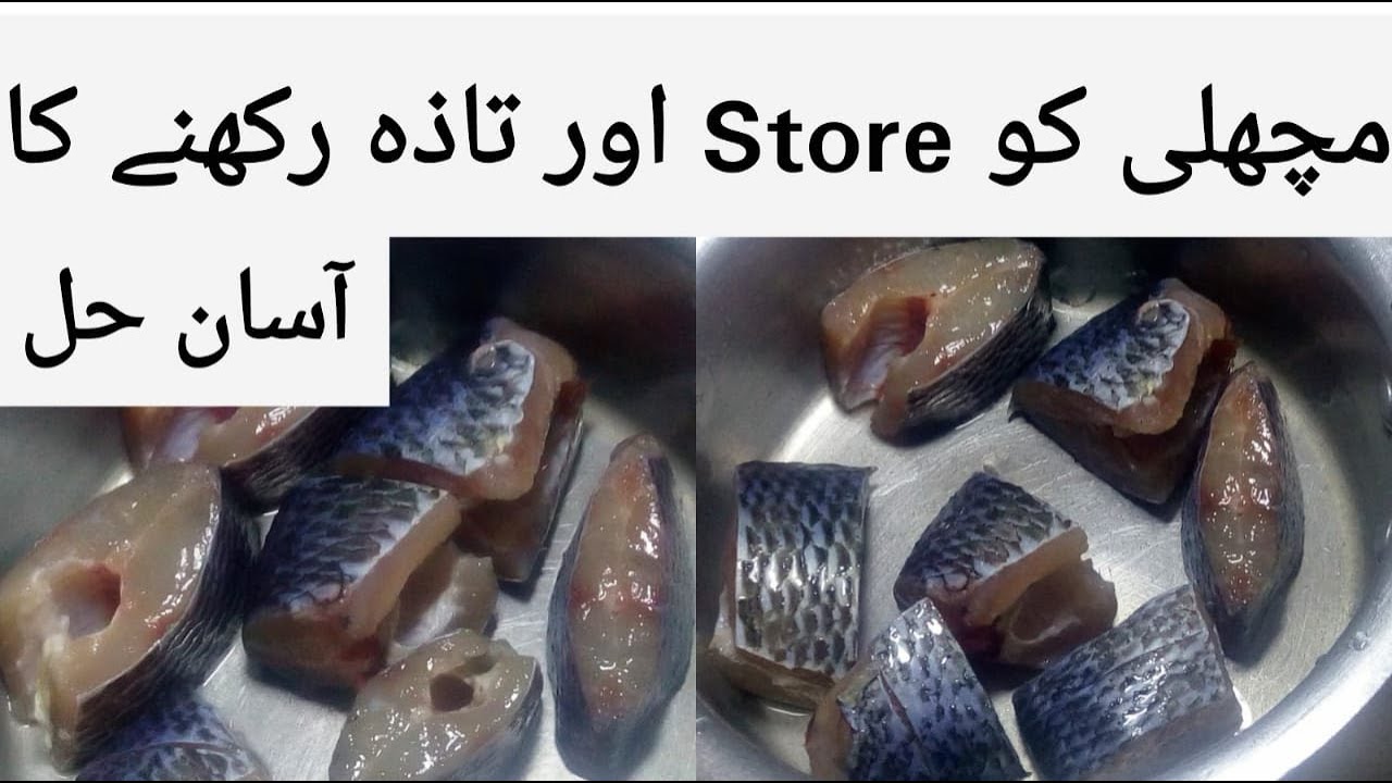 How To Store Fish | How To Keep Fish Fresh | How To Fish Keep In Fridge ...