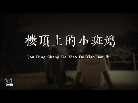 Dui Zhang (隊長) - Lou Ding Shang De Xiao De Xiao Ban Jiu (樓頂上的小斑鳩 ...