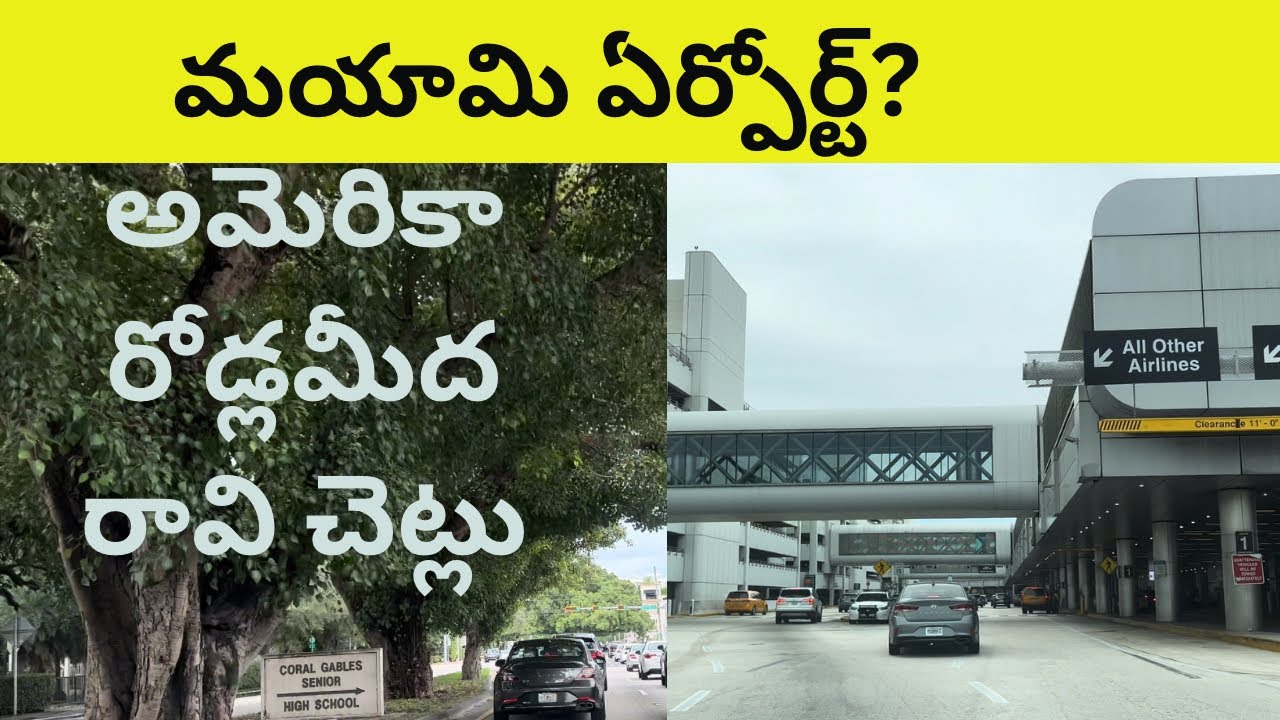 అమెరికా రోడ్లమీద రావి చెట్లు?🇺🇸🔥Ravi trees on the roads of America ...
