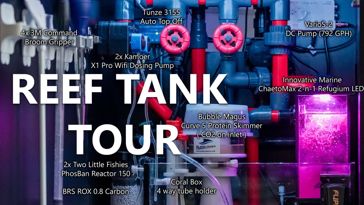 Red Sea 170 Reef Tank Tour - YouTube