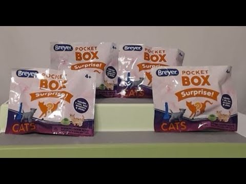 Breyer Pocket Box Surprise Cats blind box opening - YouTube