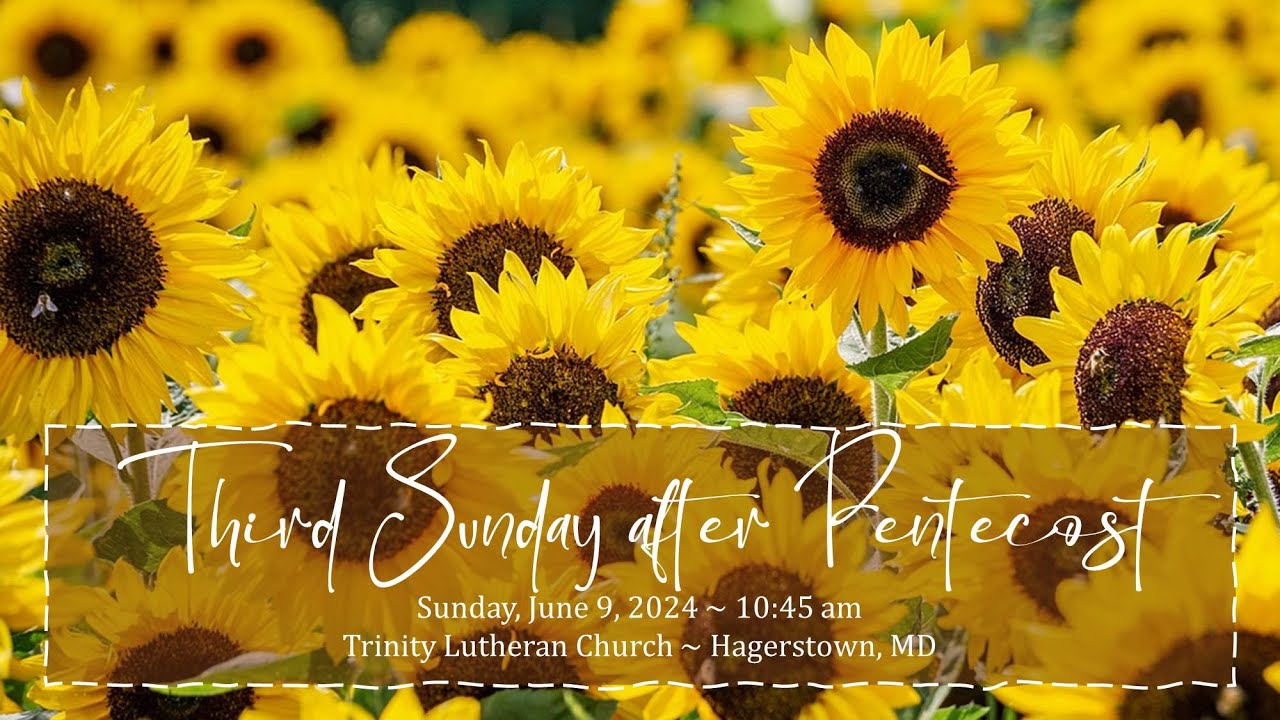 Trinity Loving CommUNITY Service - Sunday June 9, 2024 - YouTube
