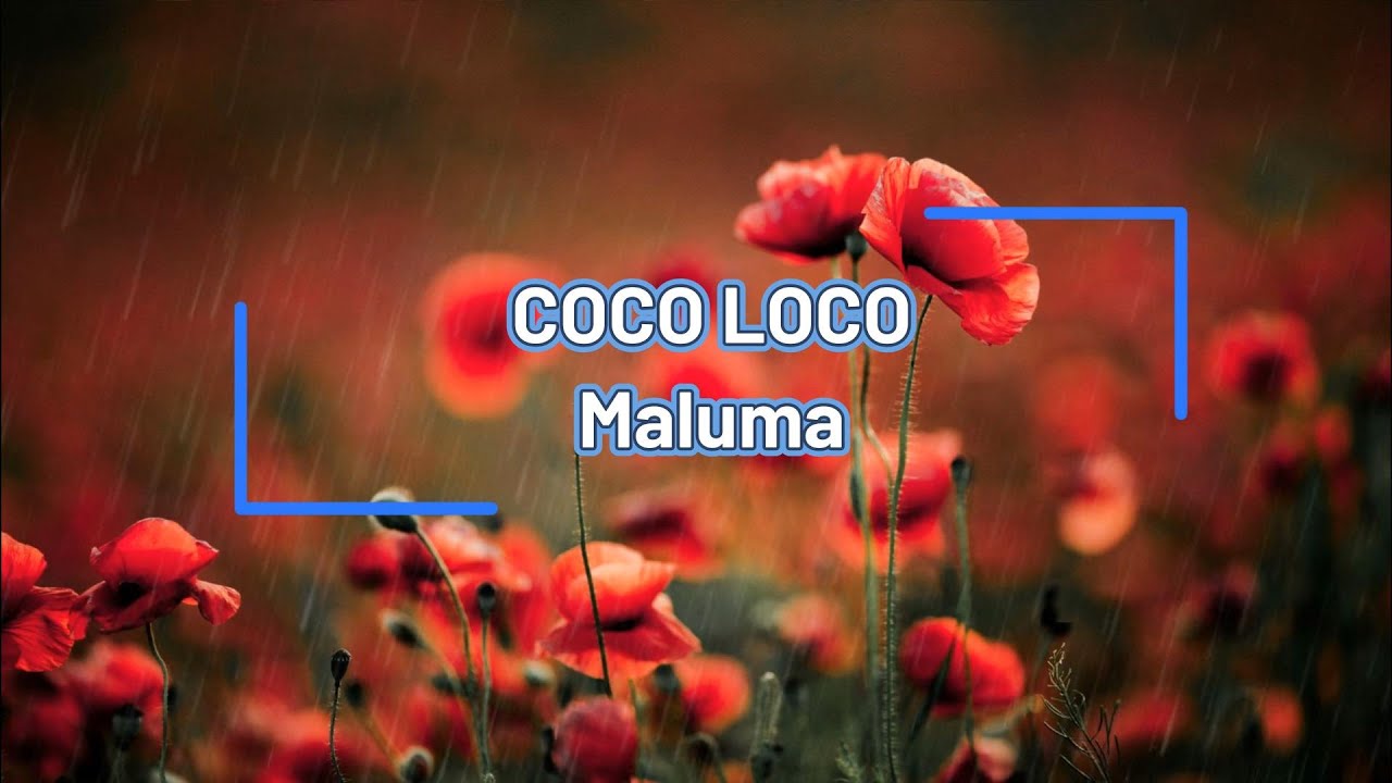 Coco Loco - Maluma (Letra/Lyrics) - YouTube