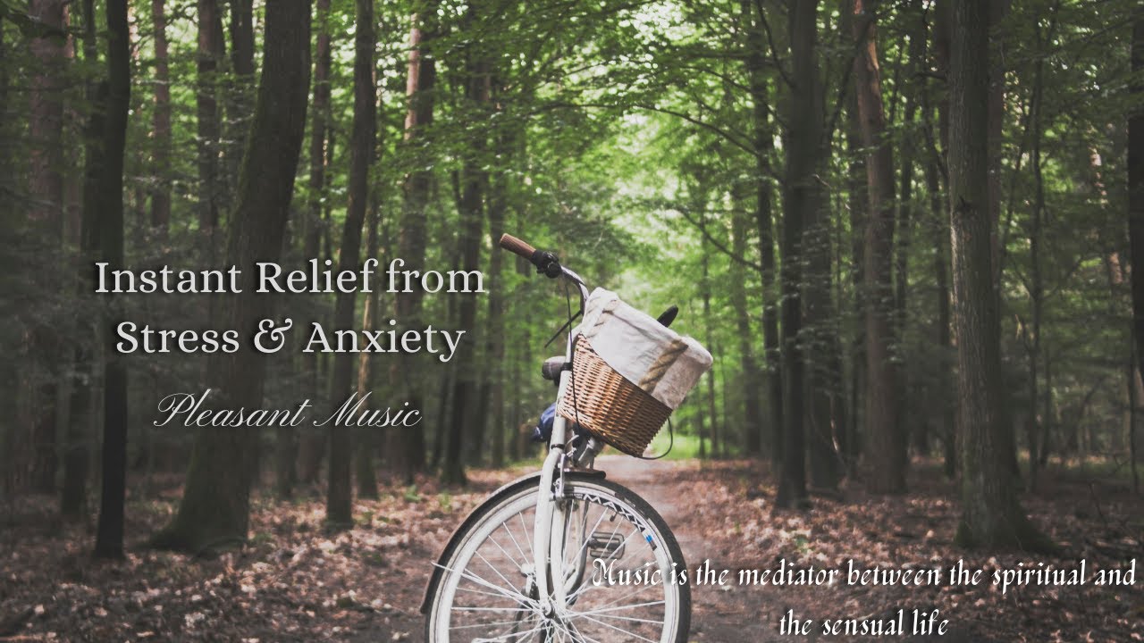 Pleasant Music for Stress Relief | Meditation, Healing Therapy, Sleep ...