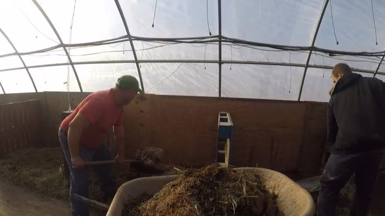 The family is in full production (Farm vlog #17) - YouTube