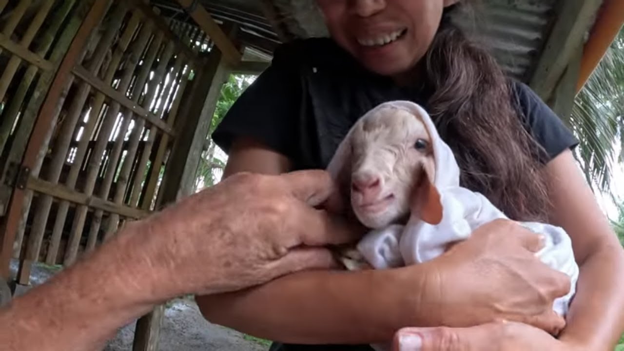 RaRa is in birthing, you want to watch this one, Amazing Birth. - YouTube