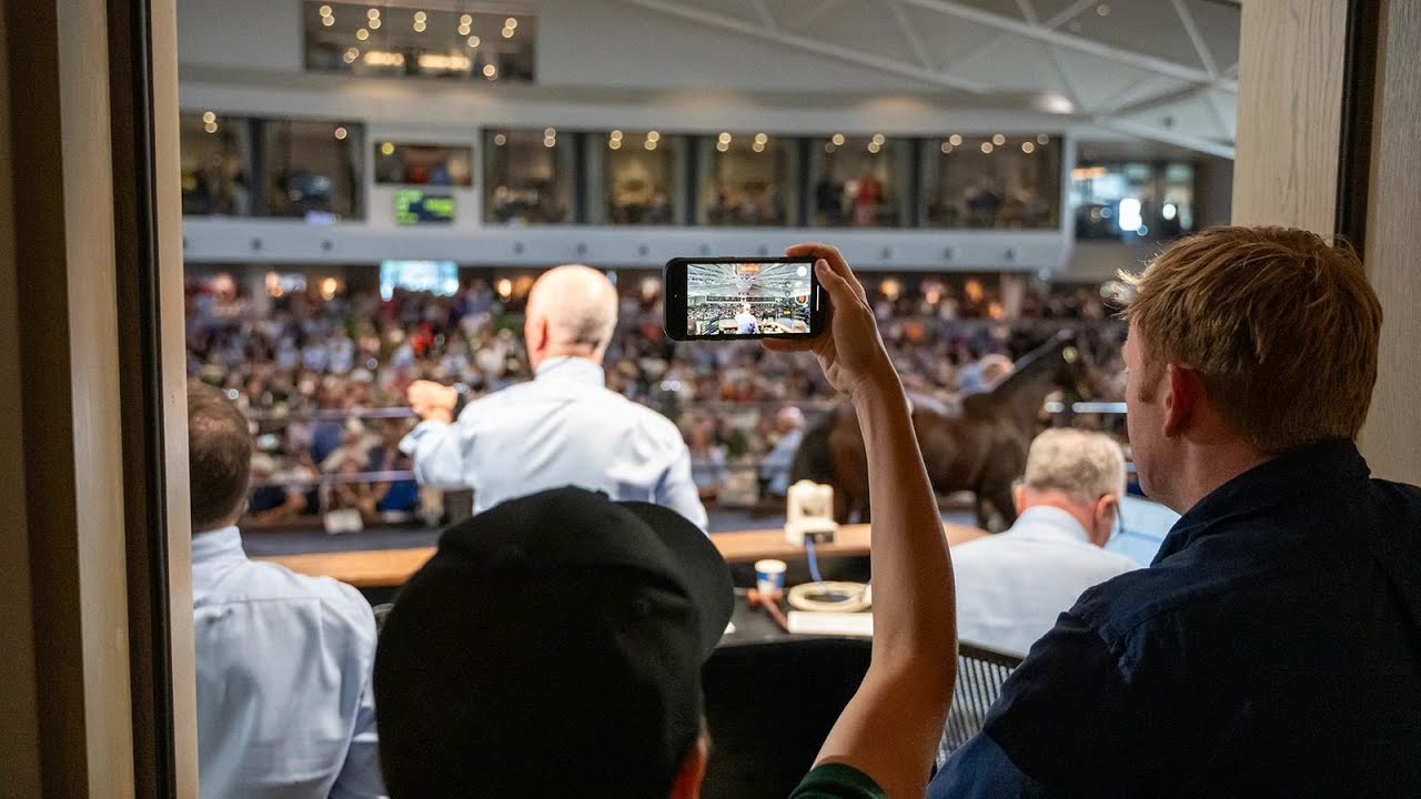 Jonathan D'Arcy & Winx Filly: 2024 Inglis Easter Yearling Sale Snippet - YouTube