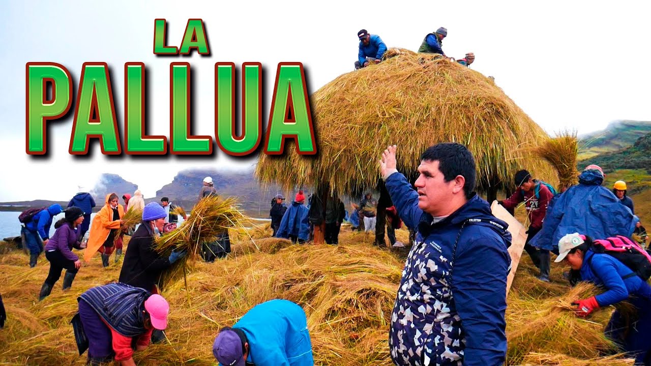 LA PALLUA GRANADA - EL CAMPANARIO 7 LAGUNAS 2023 / AMAZONAS PERÚ - YouTube