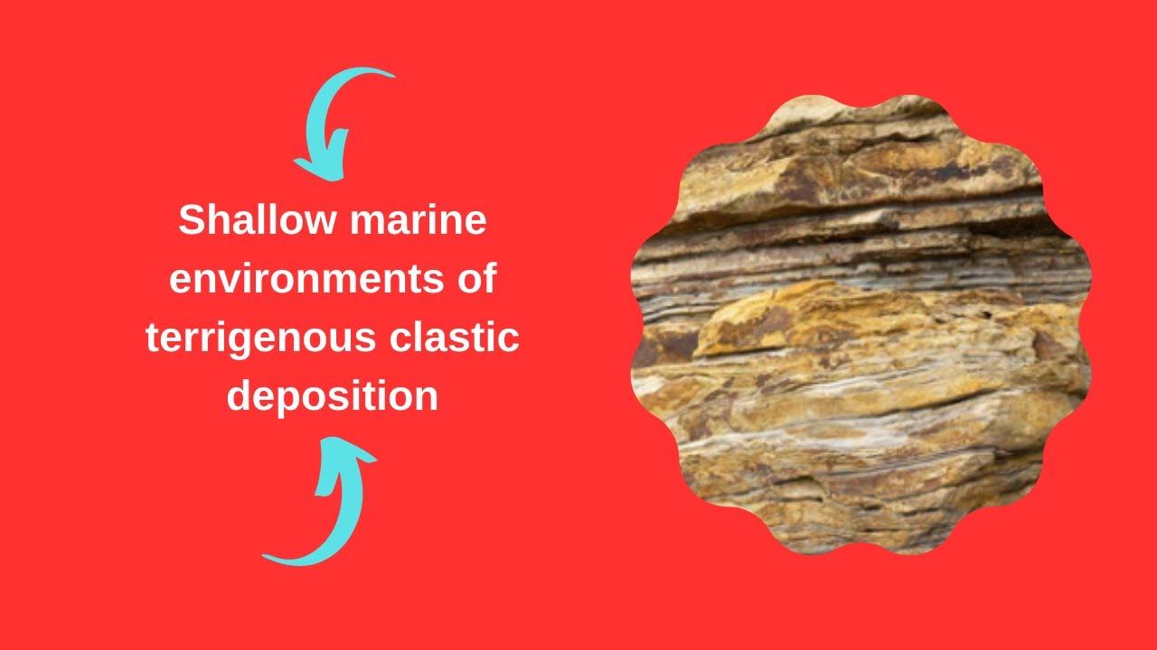 Shallow marine environments of terrigenous clastic deposition - YouTube
