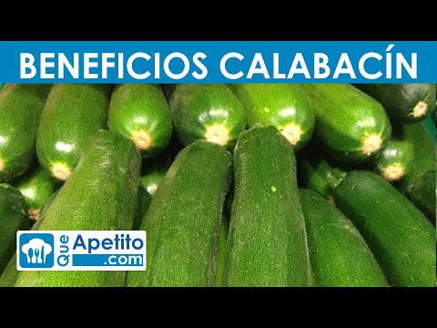 8 Propiedades y Beneficios del Calabacín | QueApetito