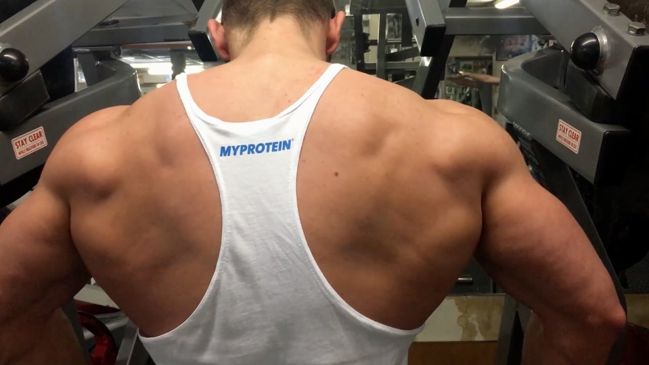Back day with the WBFF champ William Falade & Diego Sechi - YouTube