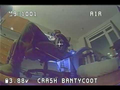 whooping with Mr Whiskey Cat - YouTube