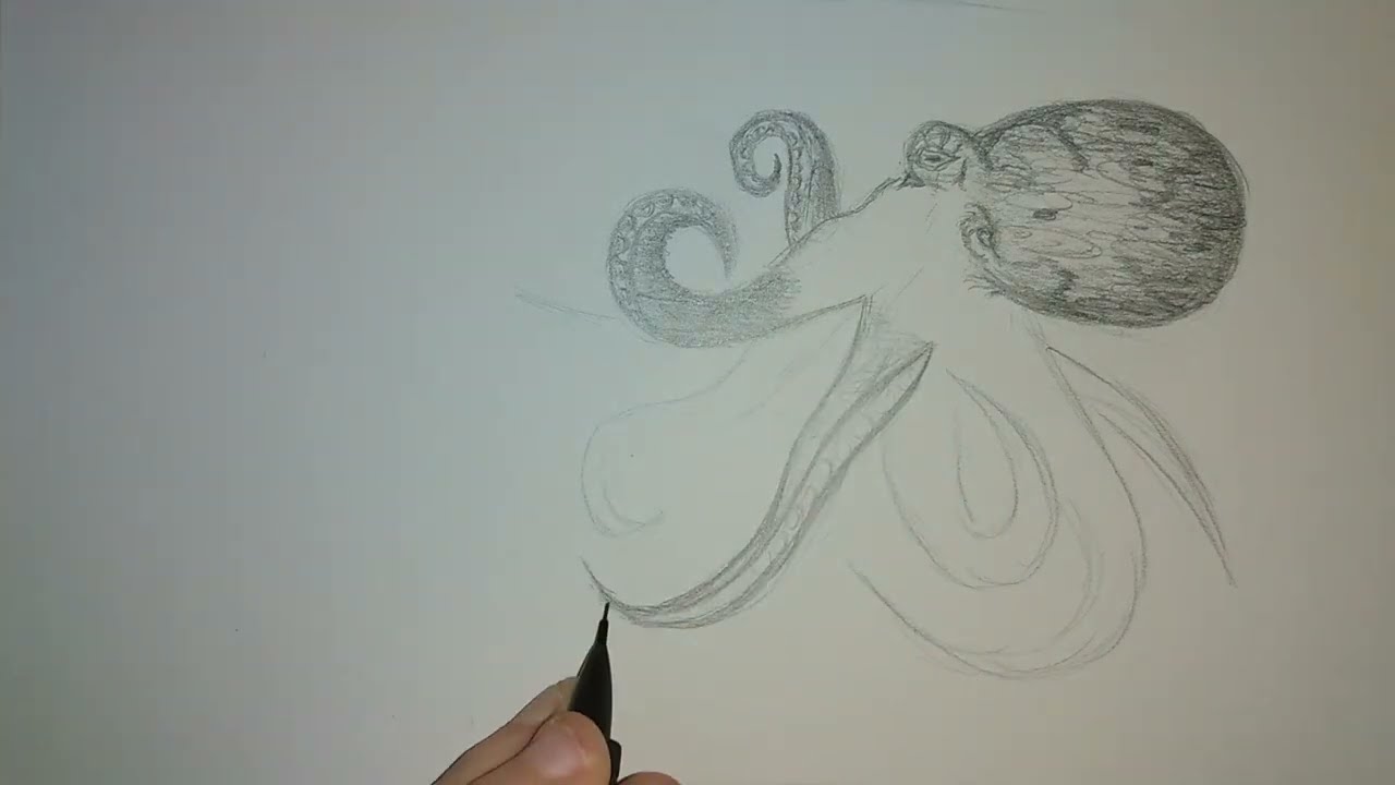 HOW I DRAW THE OCTOPUS FROM THE BEGINNING TO THE END!!! - Line Drawn ...
