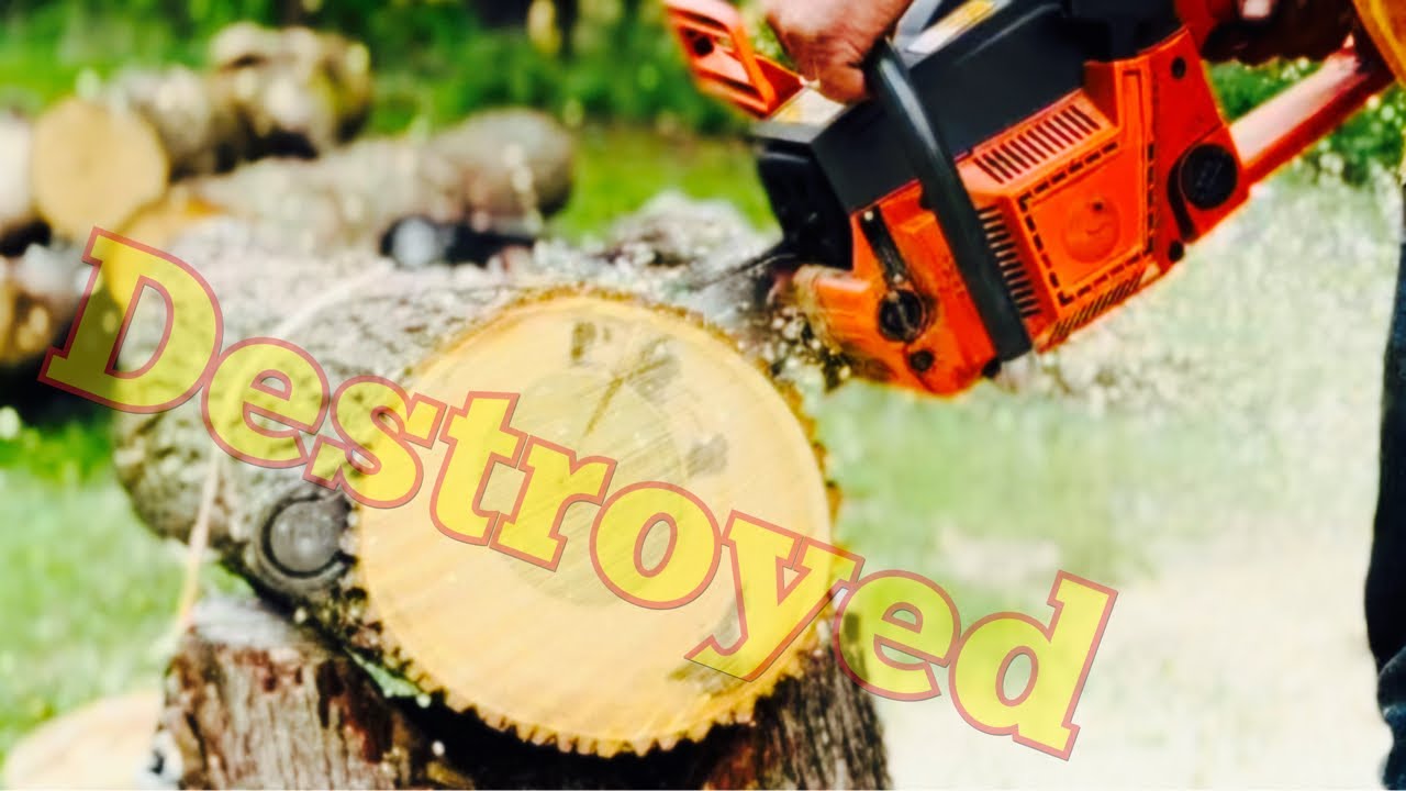 Destroyed One Of My Favorite Chainsaws! This Is A Sad Day!😭😭😭😭 - YouTube