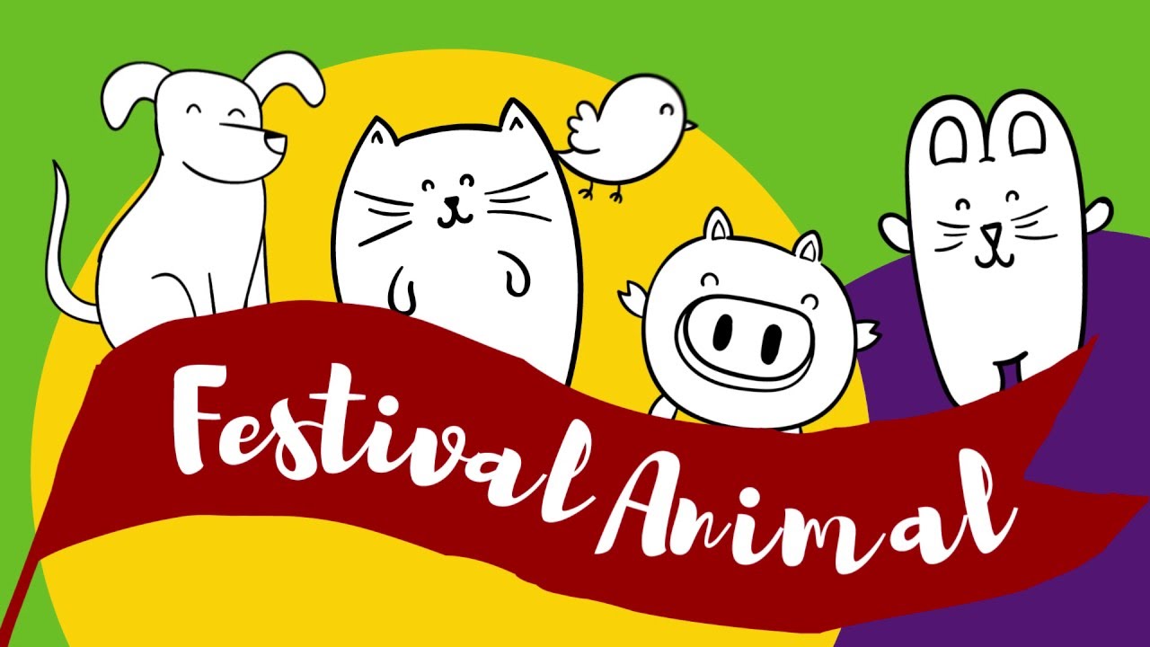 Festival Animal - 2016 - YouTube