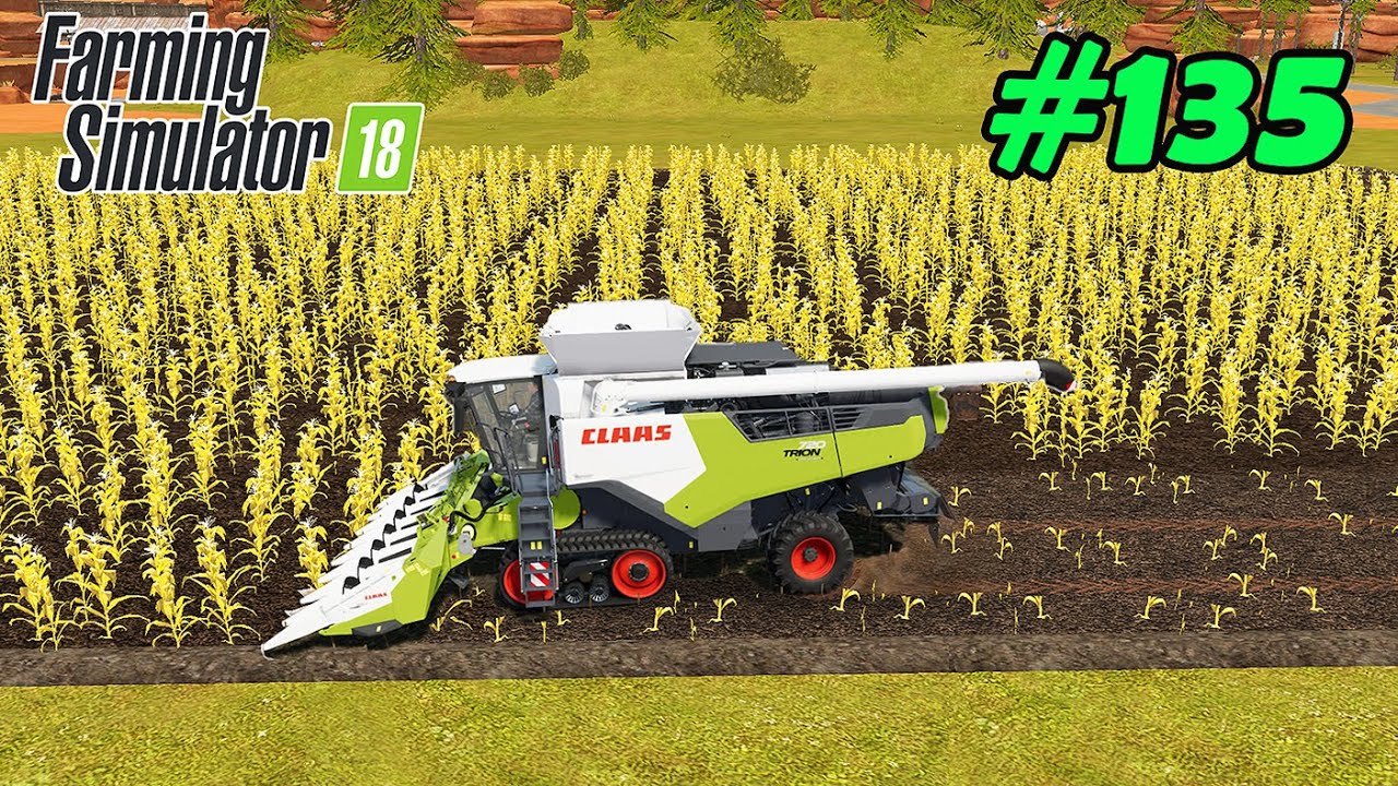 FS 18. Timelapse # 135. Corn harvesting and haymaking on a small farm ...
