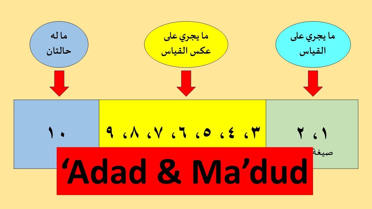 kaidah adad ma'dud - YouTube
