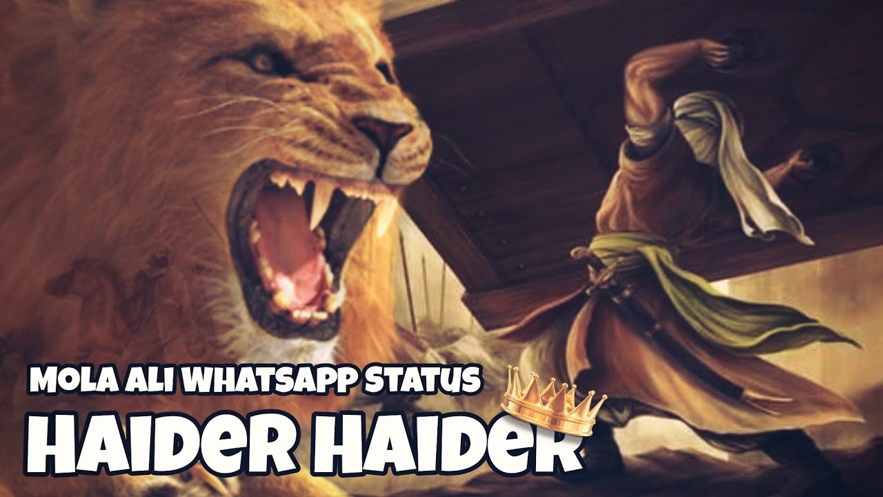 Haider Maula | Haider e Karar Shia Maula Imam Ali Whatsapp Noha Status ...