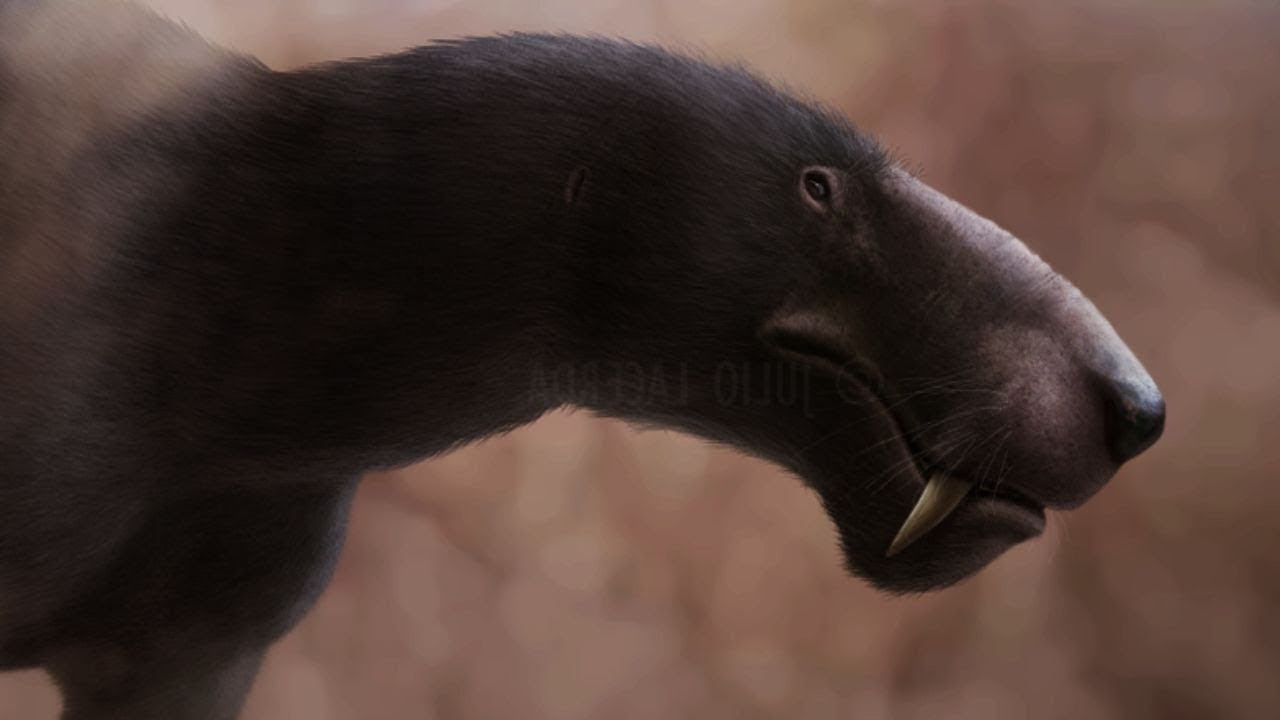 Gorgonopsians: Permian Sabretooth Predators - YouTube