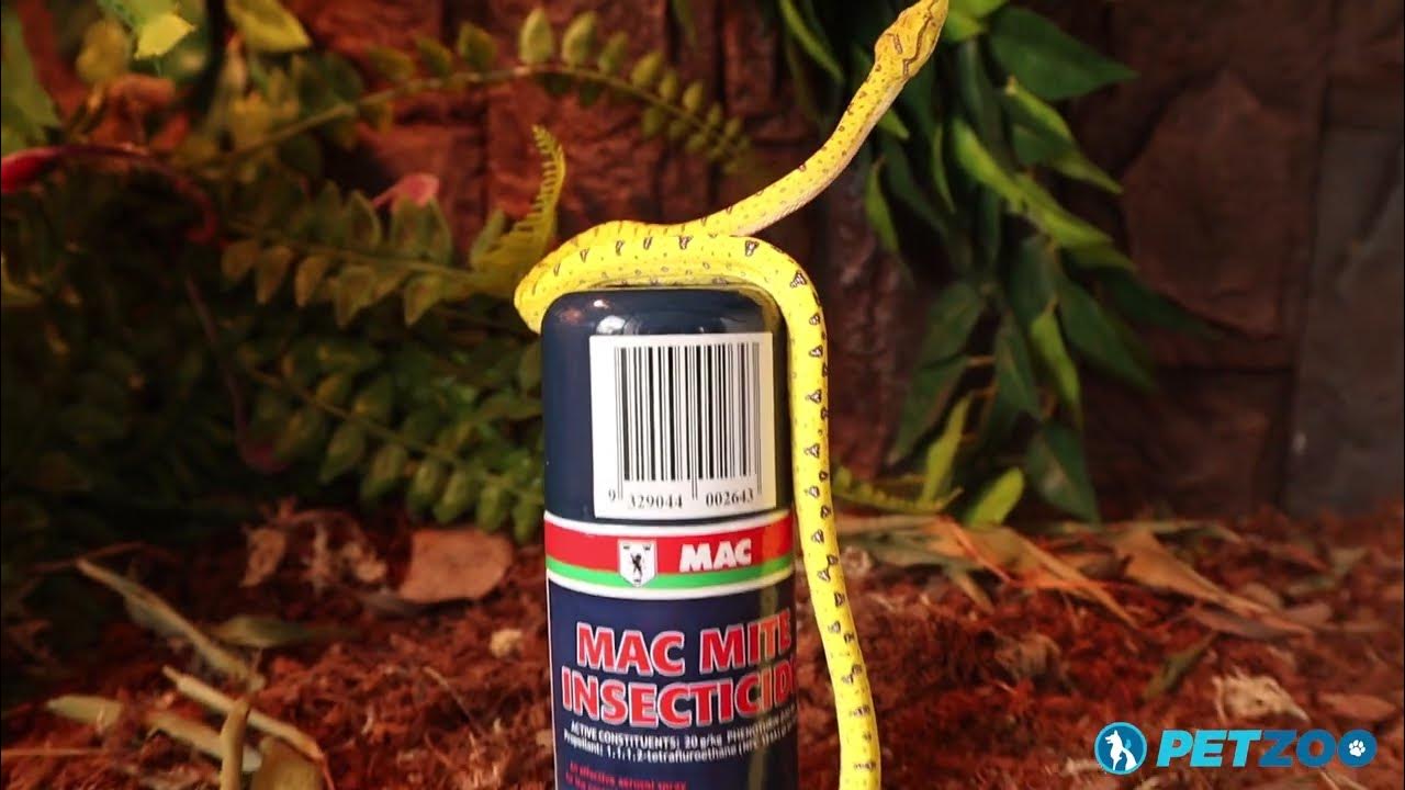 Reptile Mite Insecticide Spray | See a Baby Green Tree Python in a ...