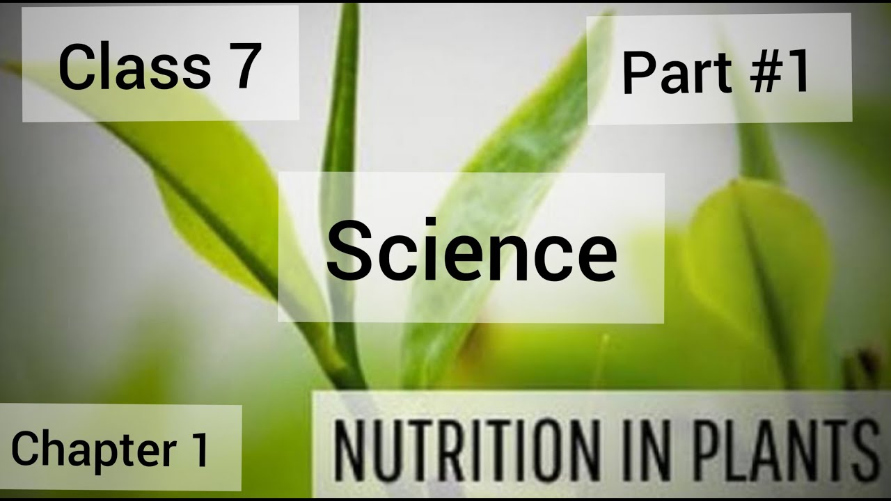 Class 7 || Science chapter 1 || Nutrition in plants || Part 1 - YouTube
