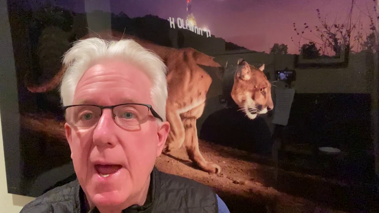 A Message from Steve Winter - YouTube